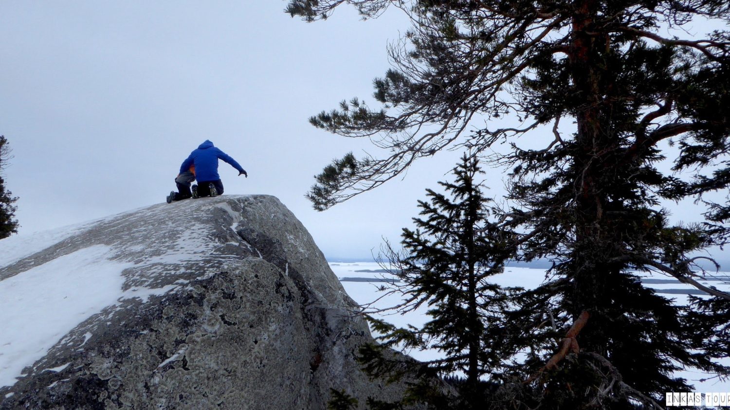 The Circuit to the Top Trail in the Koli National Park in Finland ...
