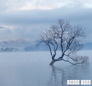 5 hours of Snow – Wanaka in Winter Wonderland – Inkas Tour